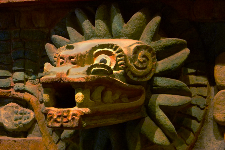 Let’s Use Our Libraries!