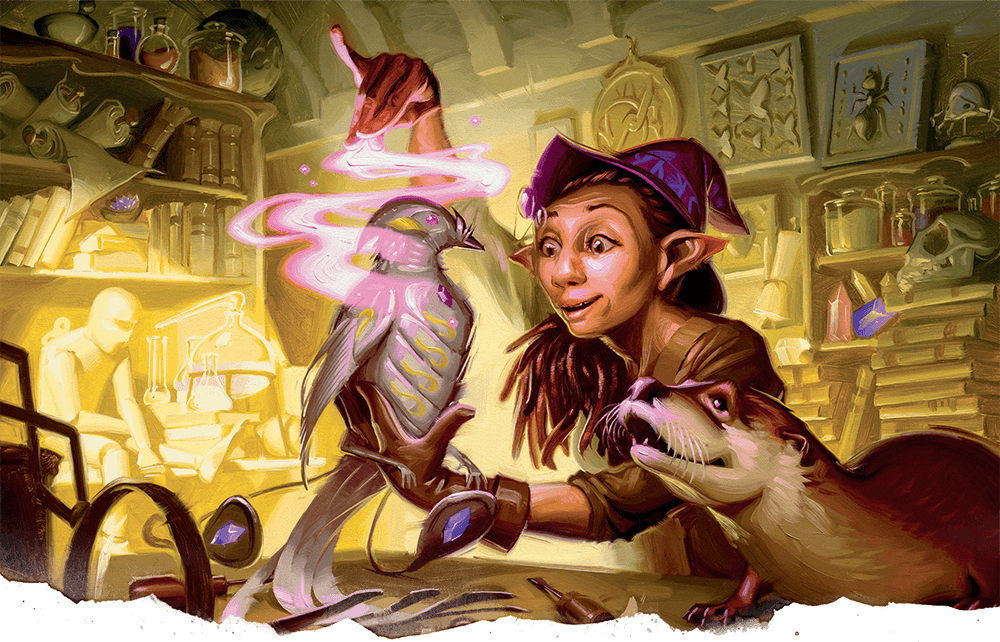 Let’s Use Our Libraries! #5